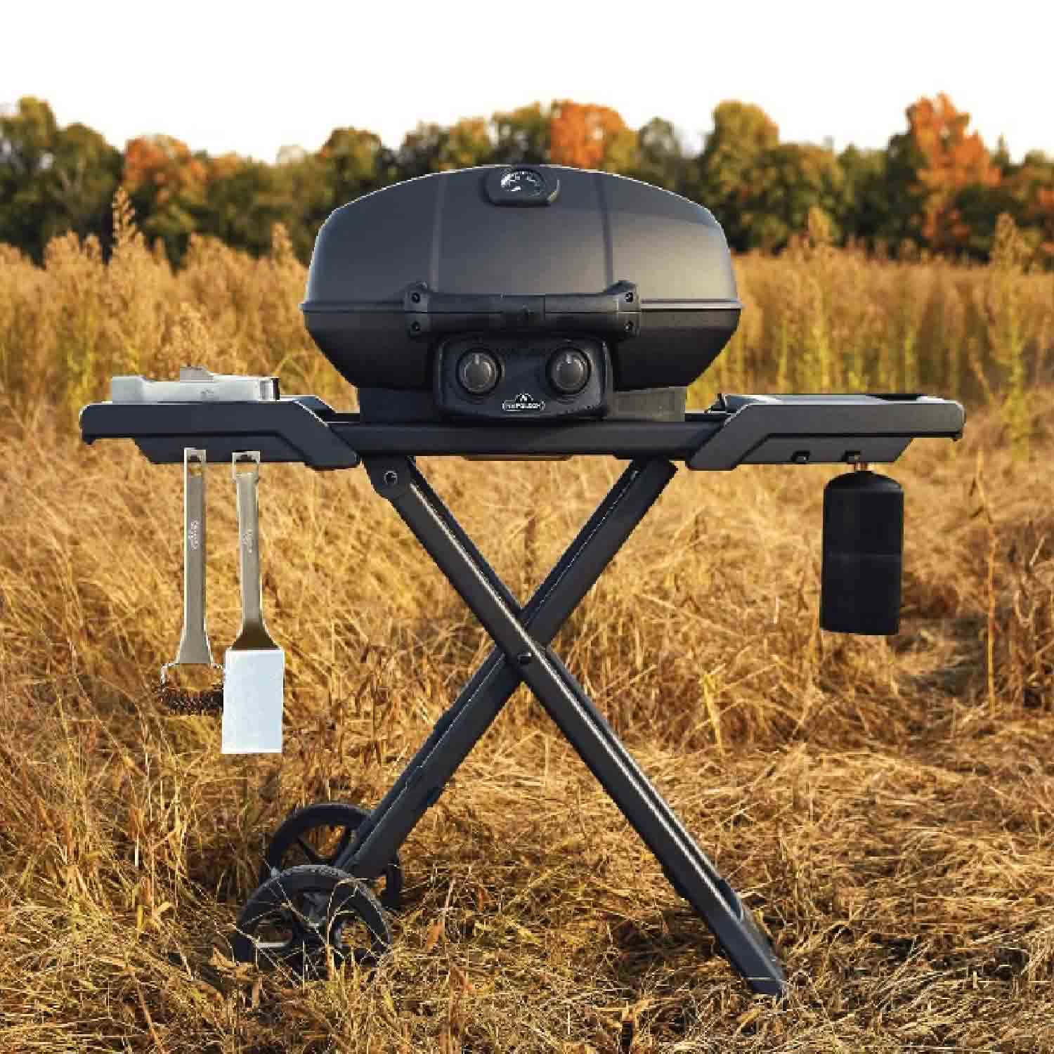 Napoleon PHANTOM TravelQ PRO285X 2-Burner Portable Gas Grill with ...