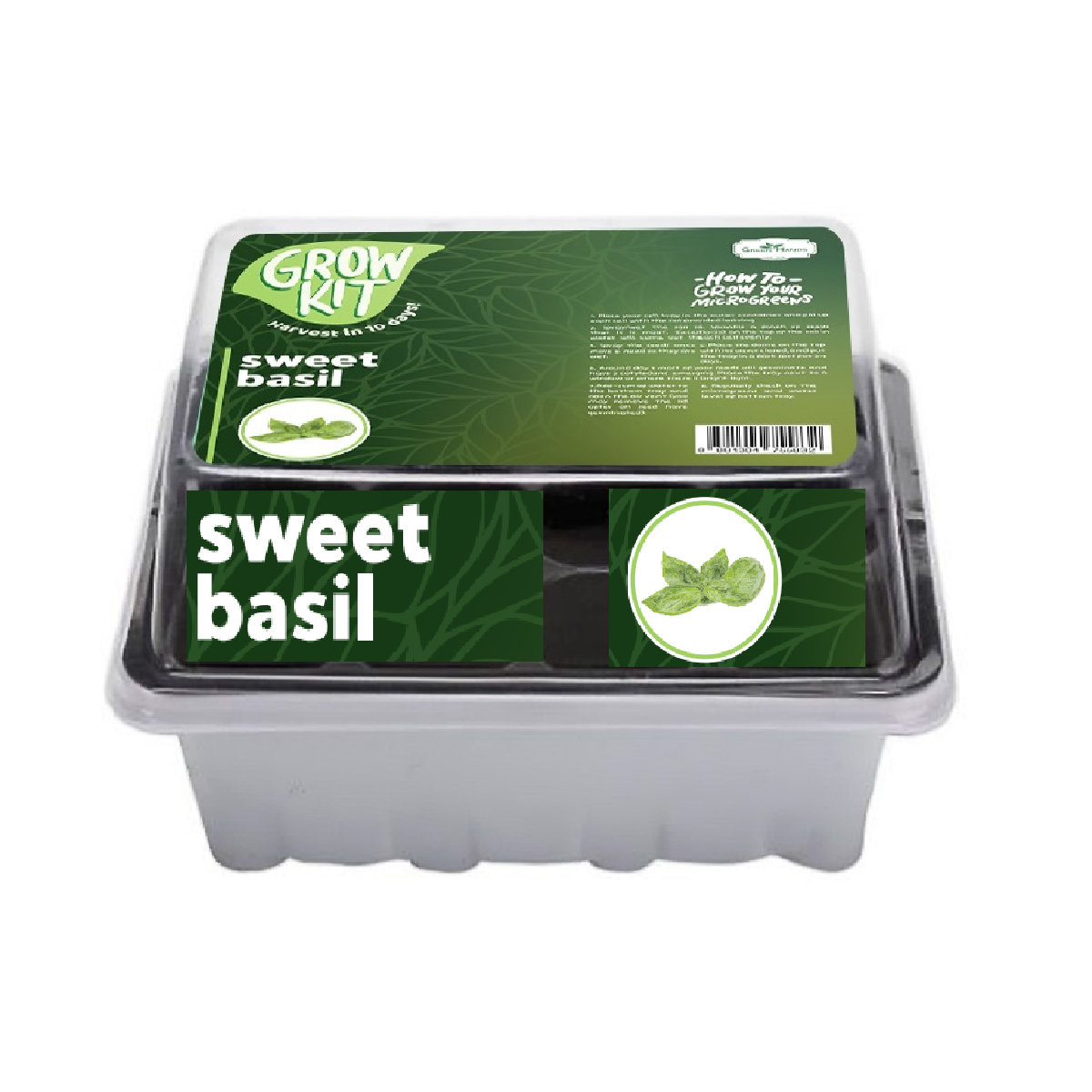 Green Hands GROW KIT - Sweet Basil DIY Microgreen Box